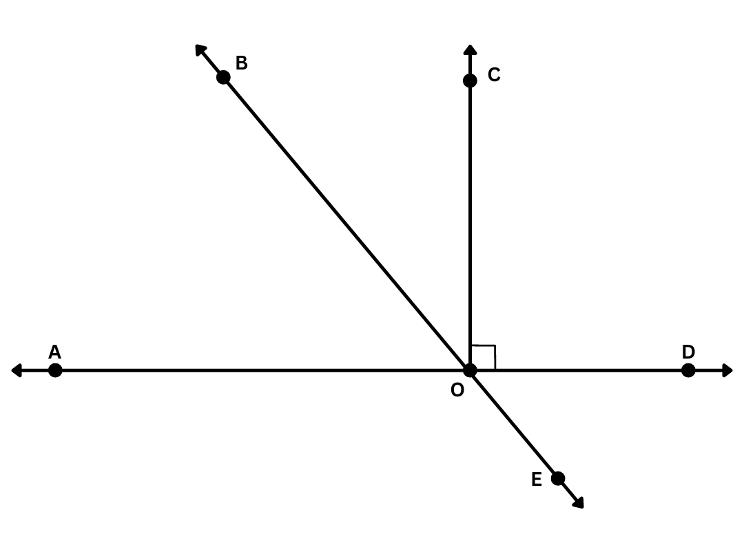 Complementary, Supplementary, Vertical, and Adjacent Angles