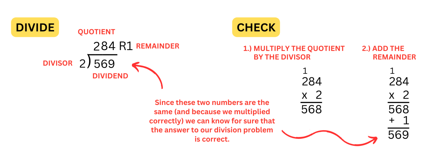 Triple-Digit Division - K12 Math Worksheets